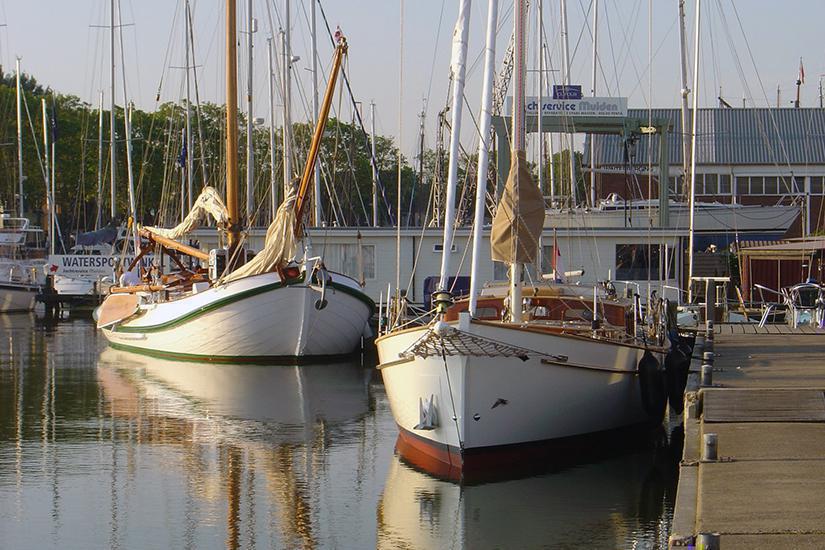 Royal Lemsteraak "De Groene Draeck" - Neptune